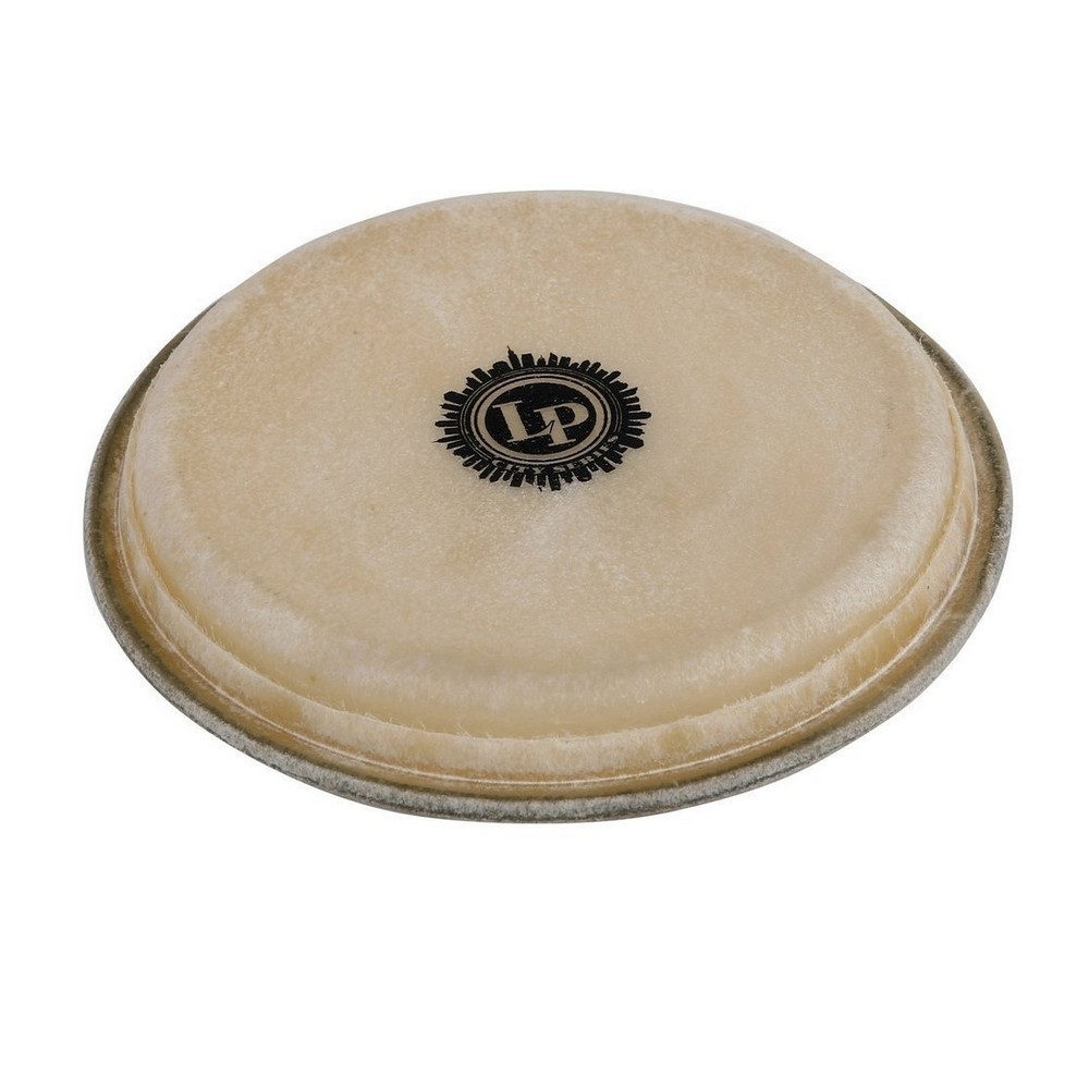 Latin Percussion (LP) Large City Series Bongo Head (LP663B) - JB Music