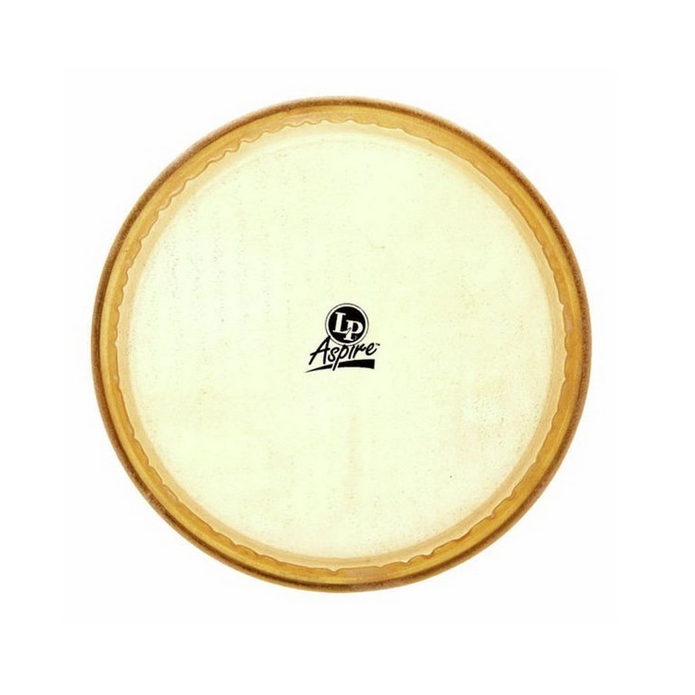 Latin Percussion (LP) Aspire 11 inch Rawhide Conga Head (LPA640B) - JB ...