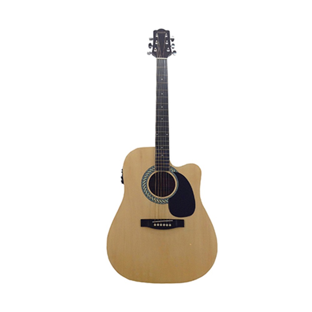 Fernando DG-100Ce Steel-String Acoustic Guitar with Pickup and Tuner ...